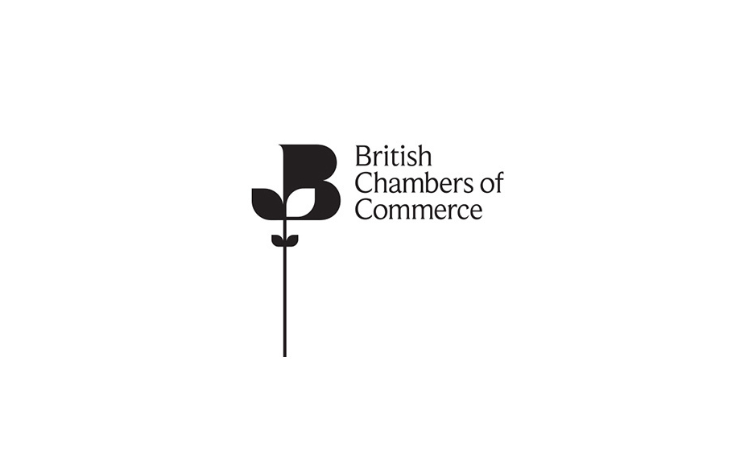 Call for Evidence Launched by BCC Workplace Equity Commission
