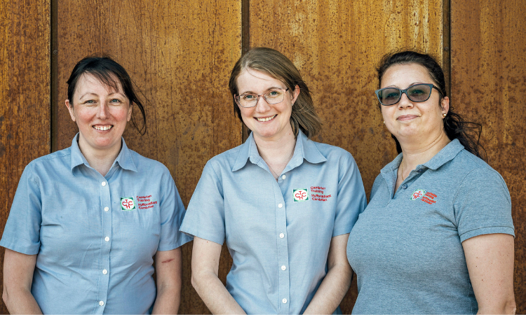 Leading Training Provider Launches Sustainability Strategy in Zero ...