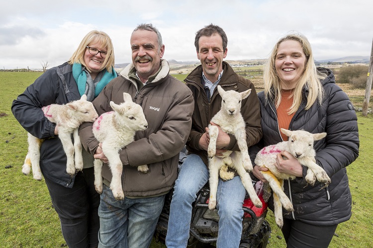New Family Meat Business Saves Snowdonia Abattoir