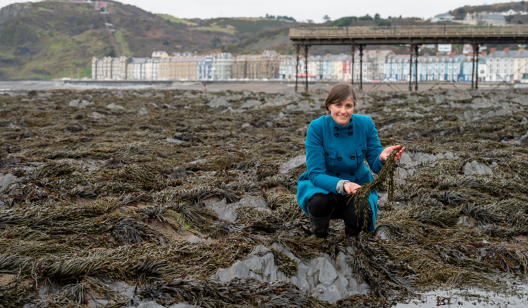New Seaweed Plastic Developed to Package Food