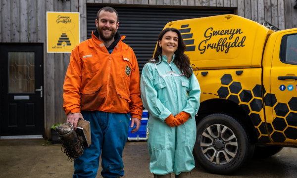 Development Bank of Wales - Profile Page - Business News Wales