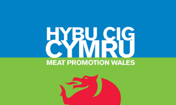 Hybu Cig Cymru Seeks Industry Input for Future Vision