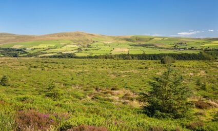 Ffermio Bro Opens Next Expression of Interest Window for Pembrokeshire ...