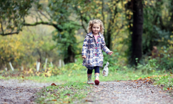 Success for Wales-Wide Tree Planting Project as 300,000 Trees Find Homes