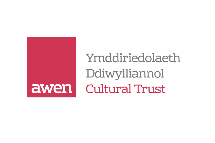Awen Cultural Trust Appoints Liz Wilson as New Trustee