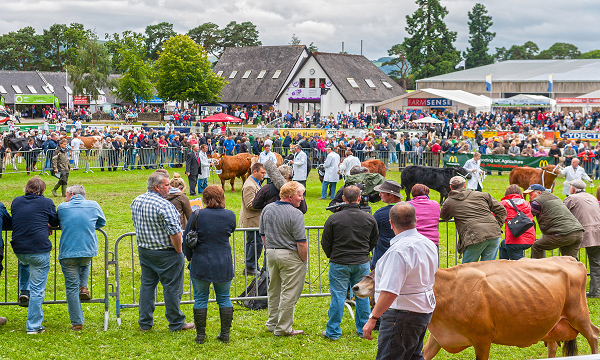 TV Star Neil Morrissey to Judge New Butchery Competition at Royal Welsh ...