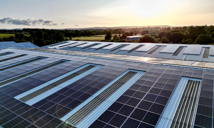 1,000 Solar Panels Installed at F Lloyd in Wrexham