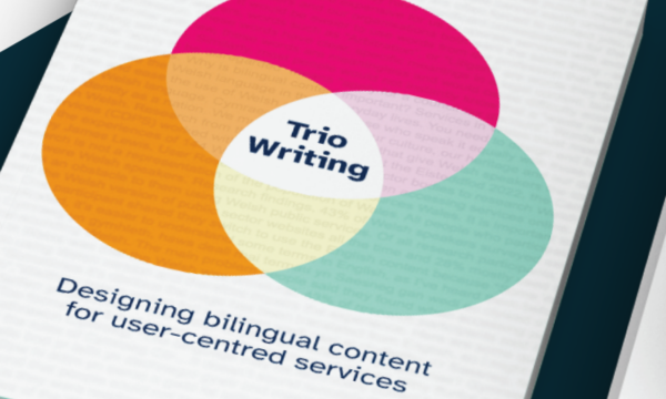 New Approach to Designing Bilingual Digital Services Unveiled